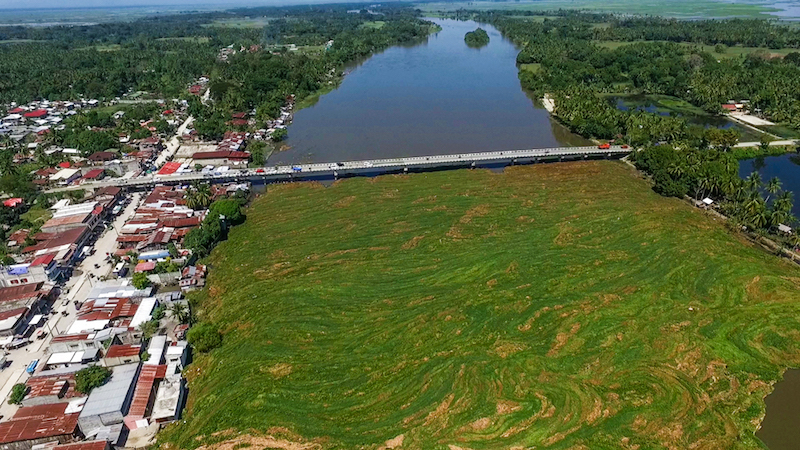 即将灾难|mindanews.