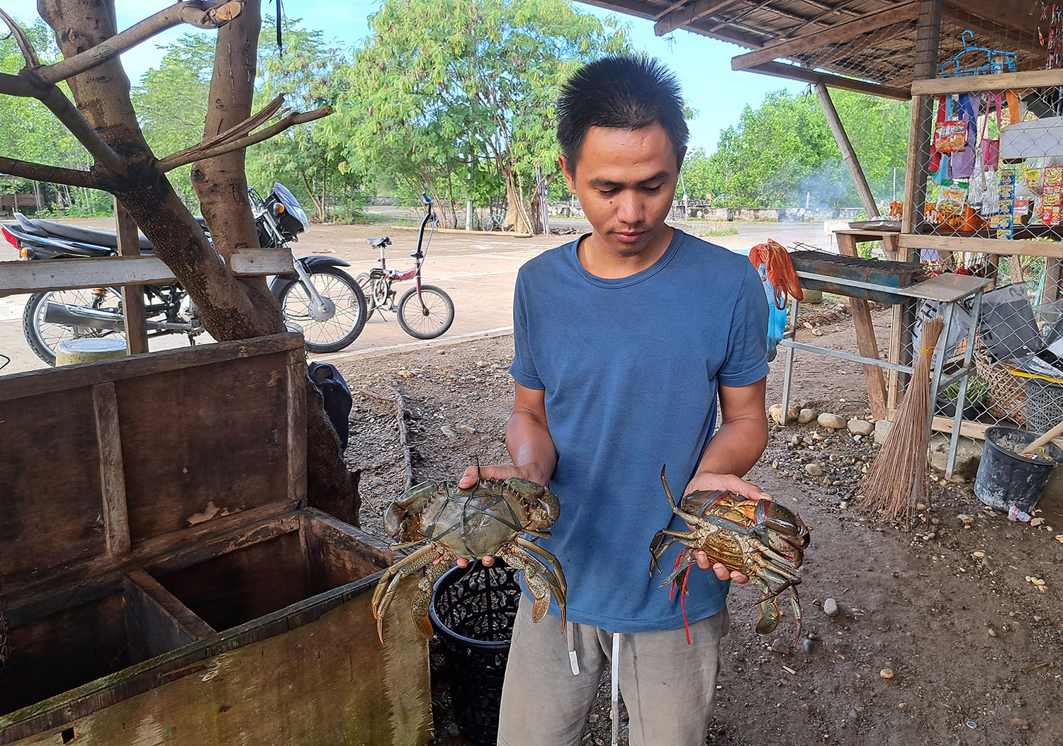 SPECIAL REPORT: In Lebak, community-managed mangrove forest provides ...