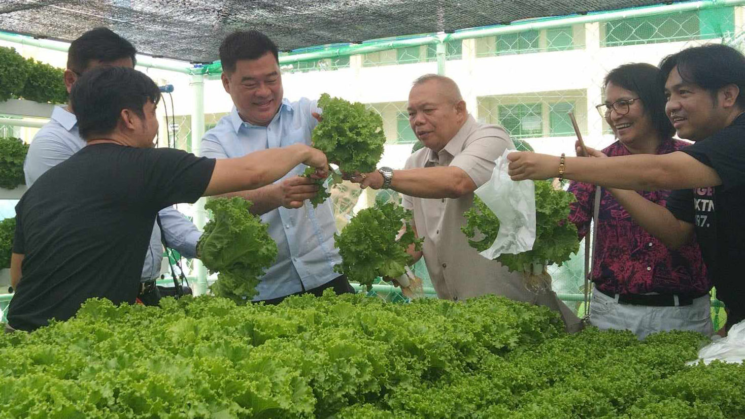 Hydroponic farming at Iligan high school yields first lettuce harvest